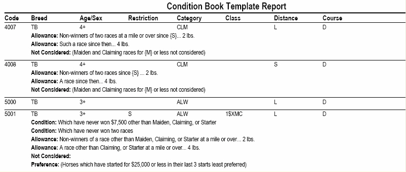 Condition Book Template Report